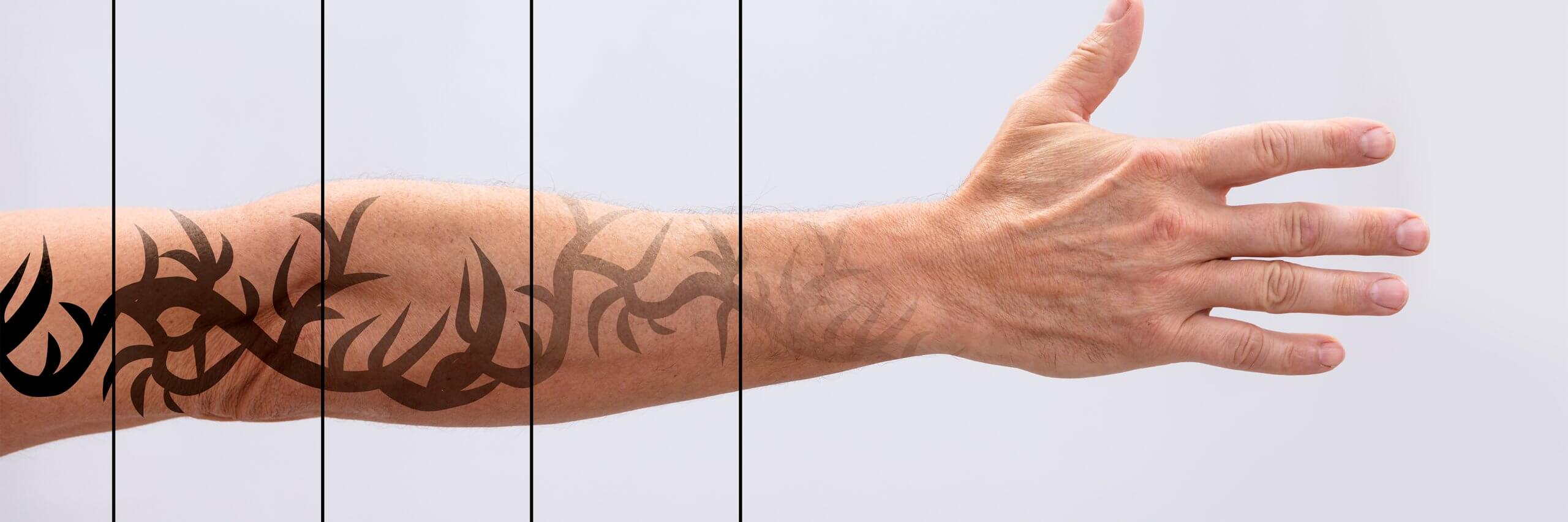 OPTICAL FIBERS: THE NEW FOUNTAIN OF YOUTH? - Coractive